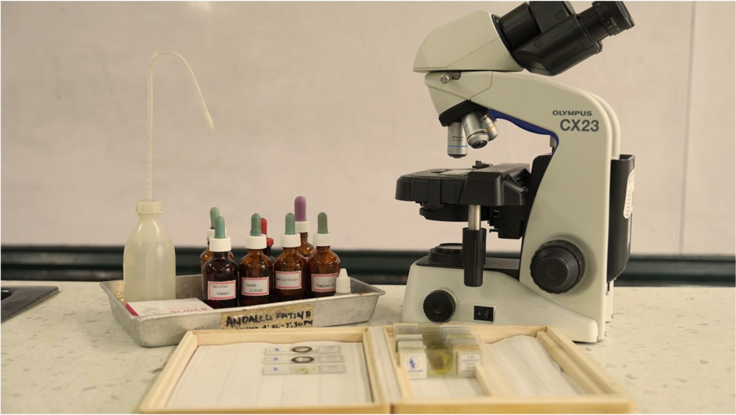 Bachelor of Science in Biology | BS Biology | TUA