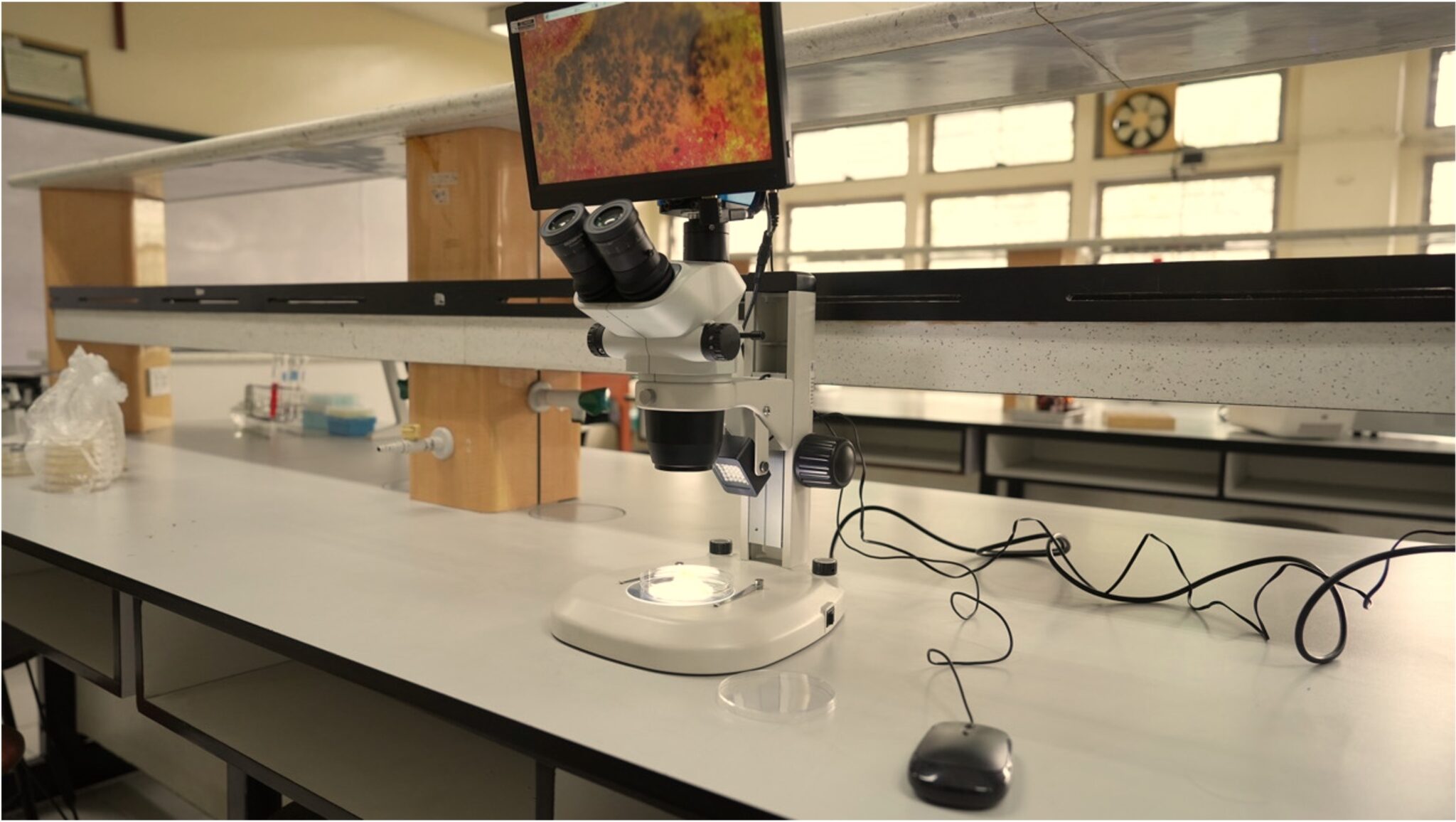 Bachelor of Science in Biology | BS Biology | TUA