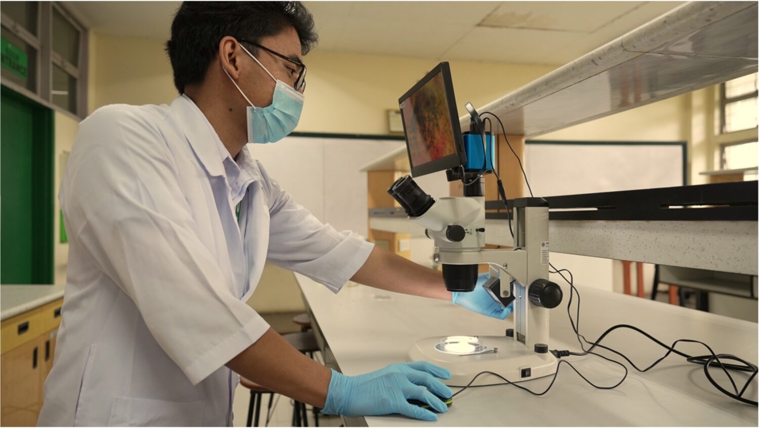 Bachelor of Science in Biology | BS Biology | TUA